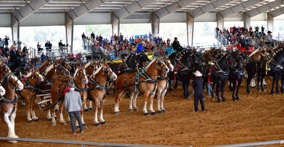 Grandview Invitational | January 28th - 30th, 2027