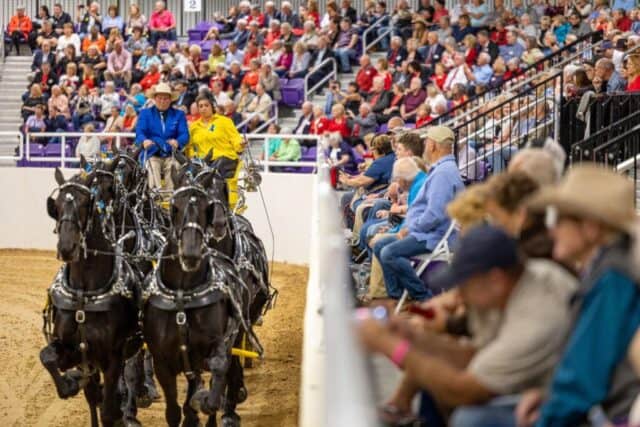 Show Tickets - Grandview Invitational